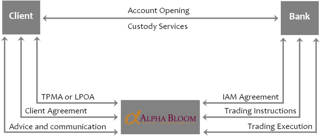 Services – Alpha Bloom Asset Management